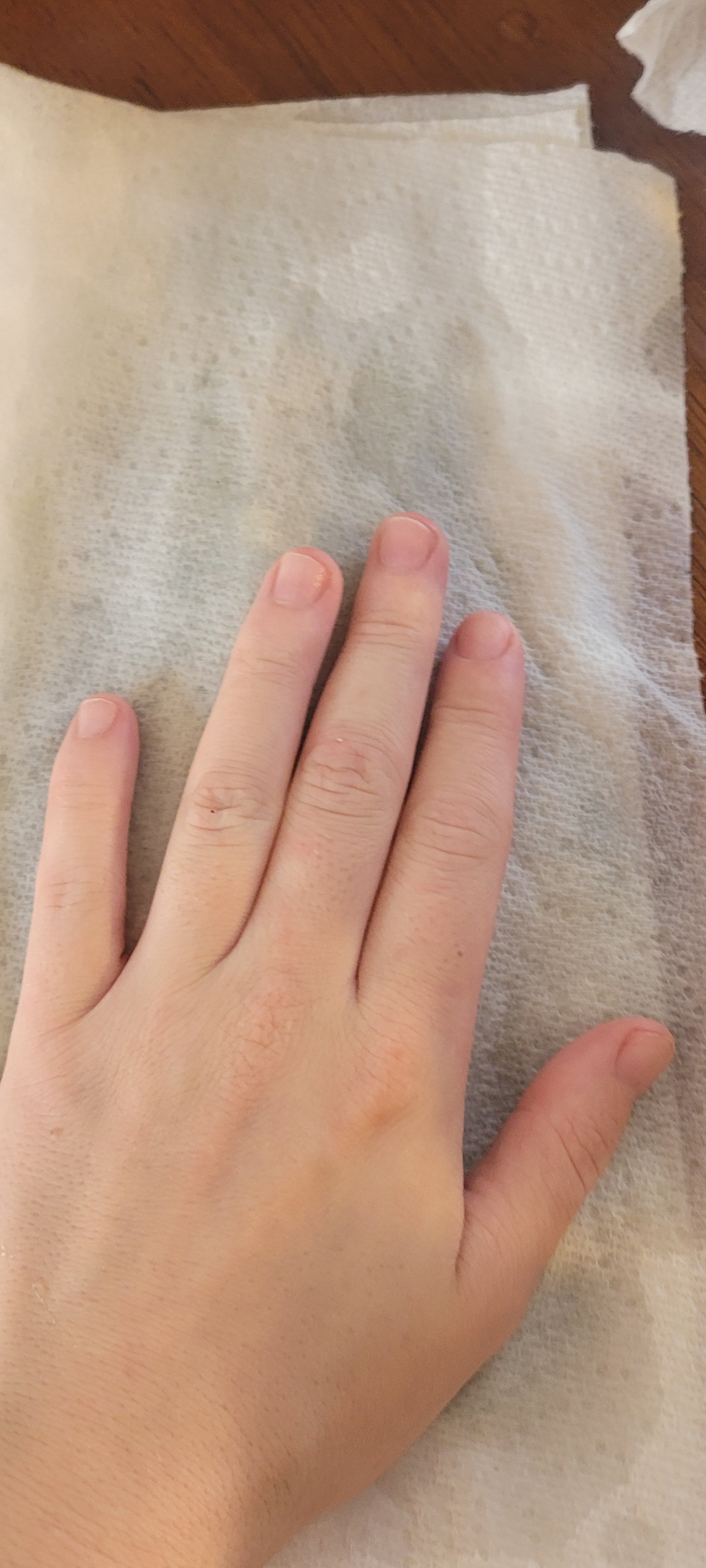 How to Dry Mullein and Harvest: Simply.